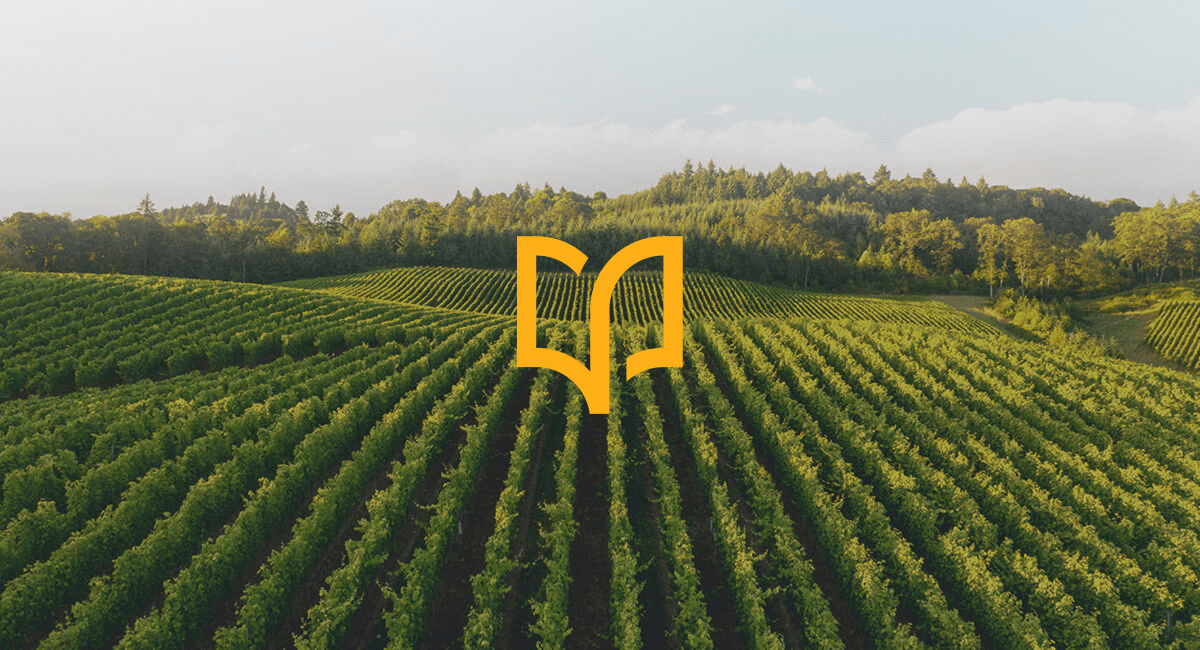 Bible Study Fellowship – International Baptist Church (IBC) of Brussels